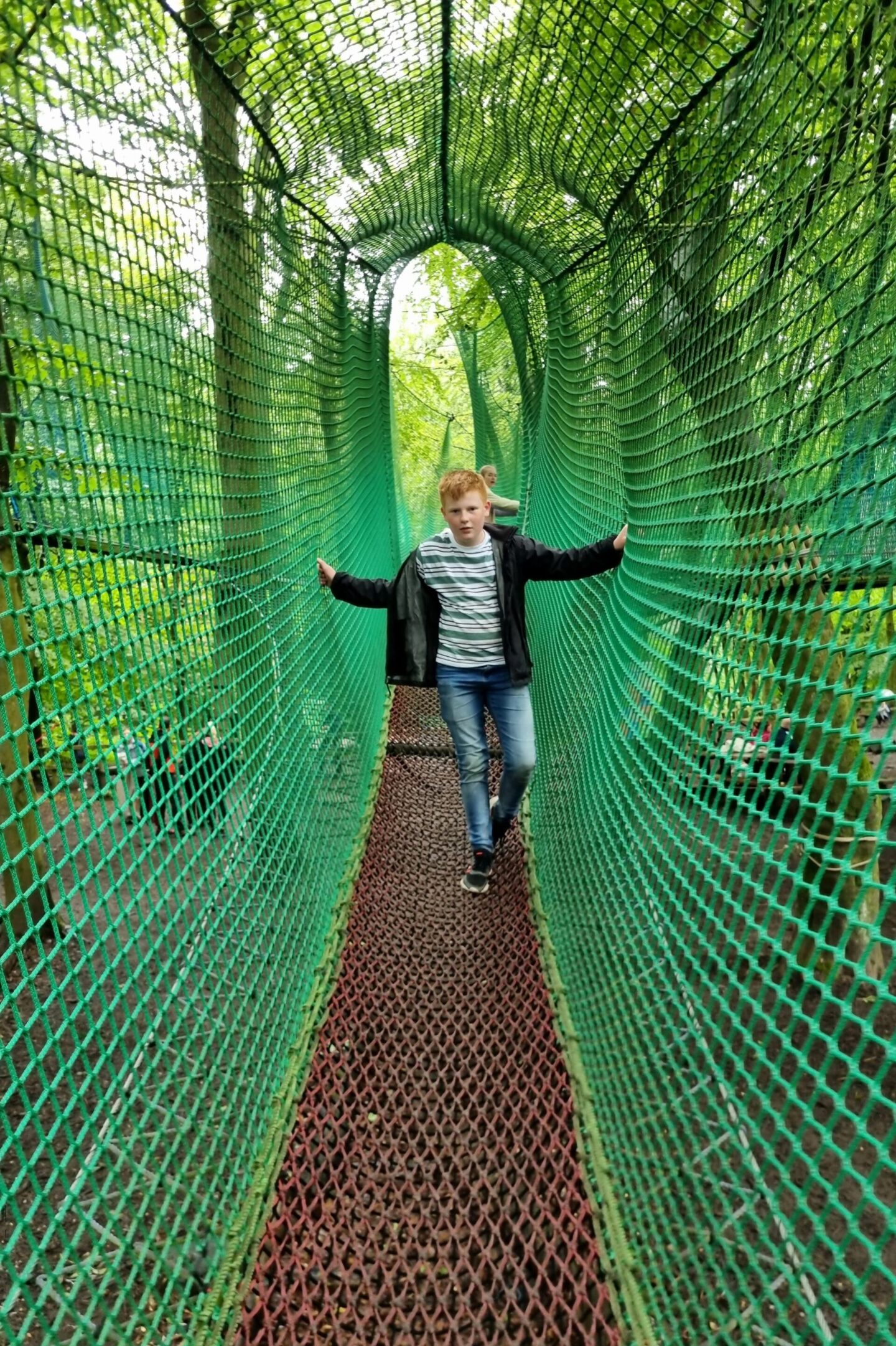 Treetop Nets at Zip World Manchester, Heaton Park - Review - We're ...