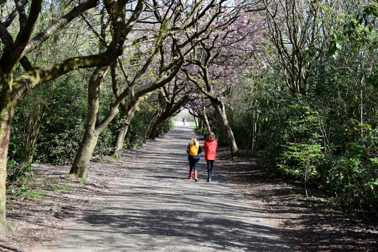 10 Reasons You'll Love Heaton Park - We're going on an adventure
