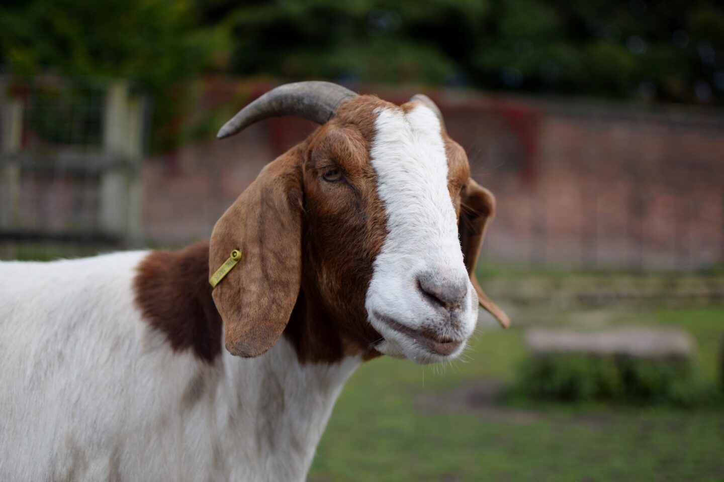 10 Reasons You'll Love Heaton Park - We're going on an adventure