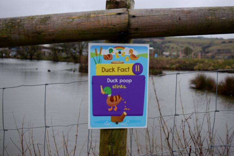Cockfields Farm Park, Oldham - Review & Tips - We're going on an adventure