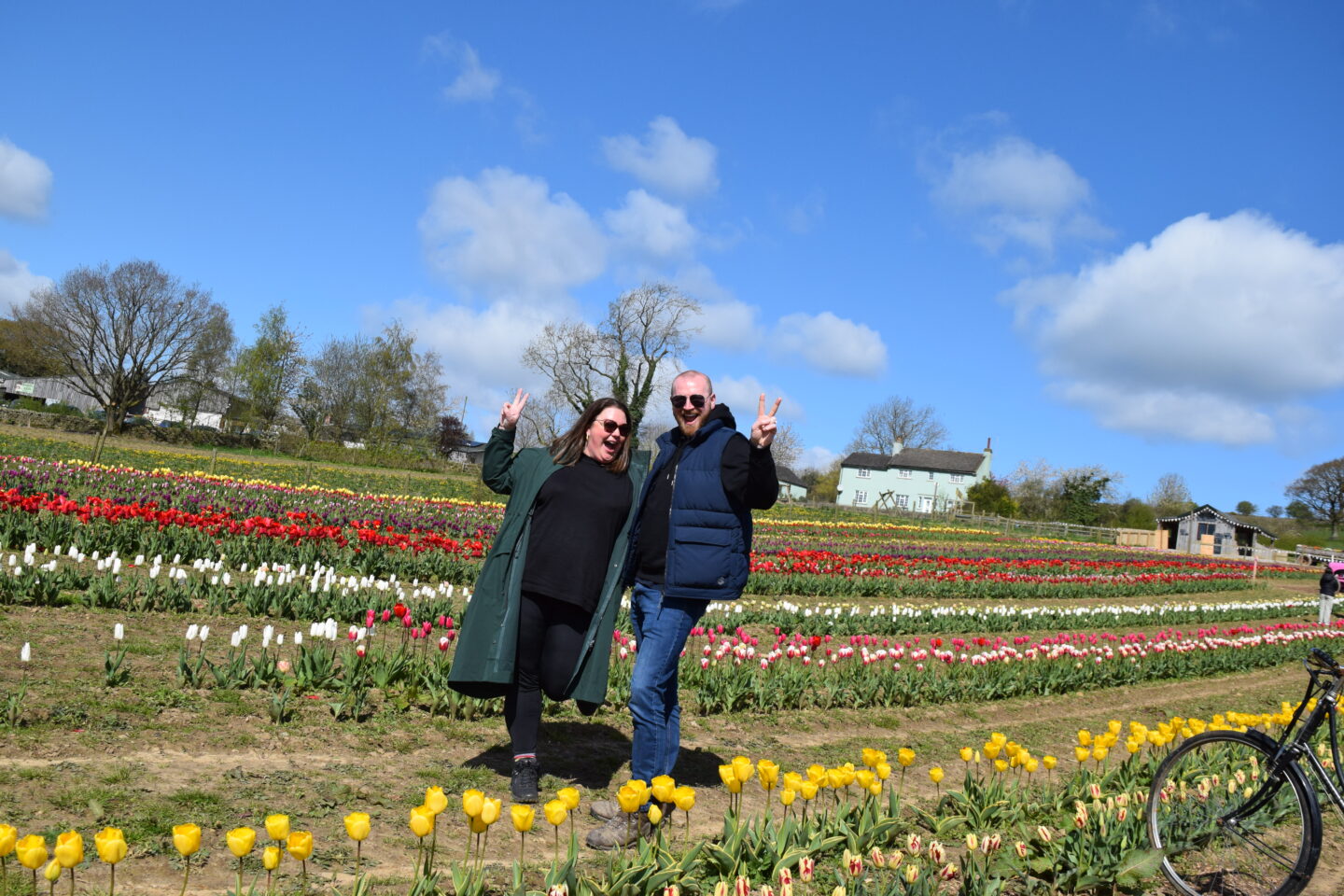 Stunning Tulip Fields and Tulip Festivals to visit in the UK [2026 ...